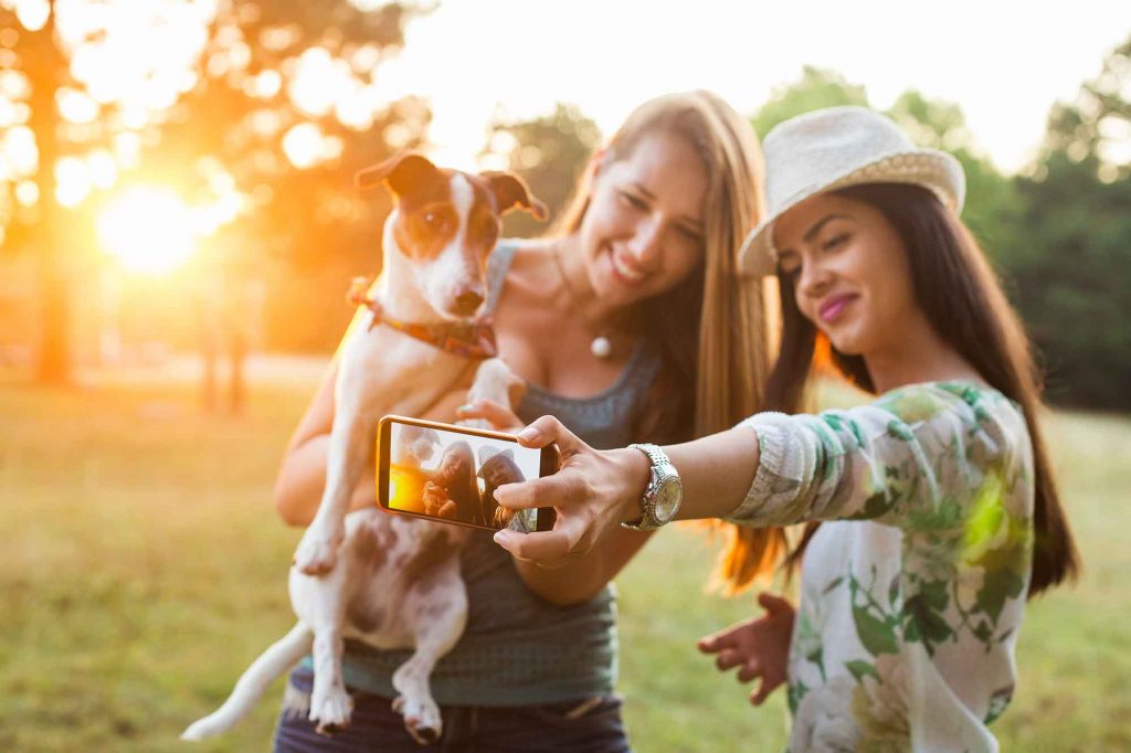 Pet Contest Ideas: 5 Cool Ways to Heat Up Your Vet Practice This Summer ...