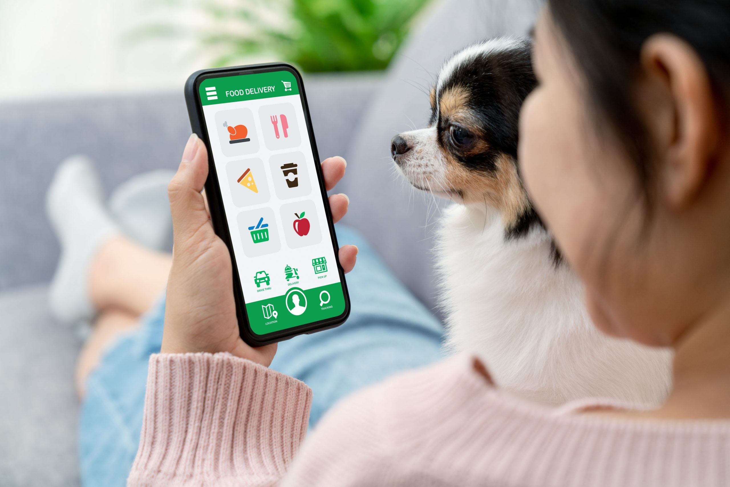 Dog with Owner Using Cell Phone | Beyond Indigo Pets
