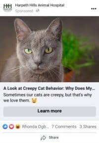 Top 5 Veterinary Social Media Posts that Will Increase Client ...