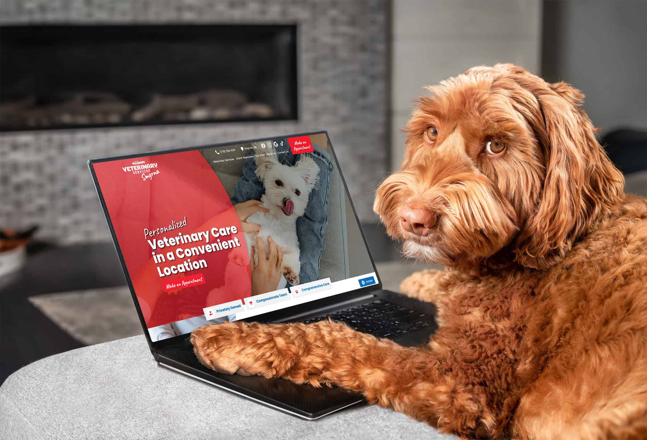 10 Best Veterinary Practice Websites of 2024 | Beyond Indigo Pets
